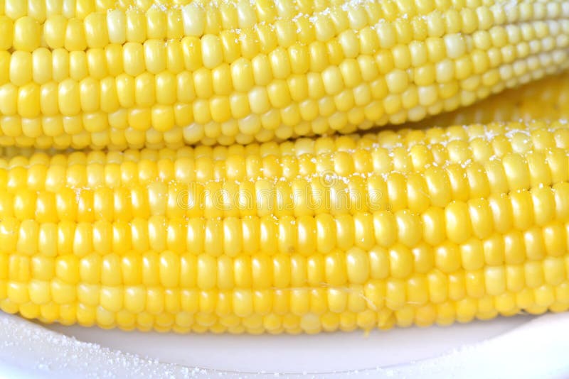 Boiled corn stock image. Image of plate, colored, garden - 75168393