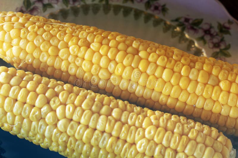 Boiled corn on the plate stock image. Image of sweetcorn - 144378743
