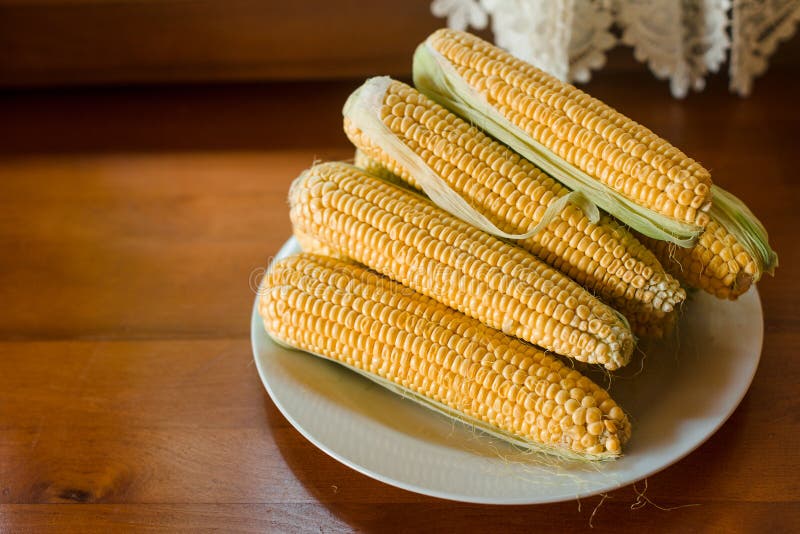 Corn with plate stock photo. Image of leaf, appetizer - 39335414