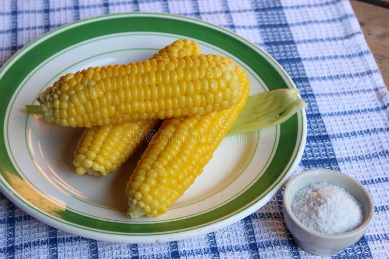 Boiled corn on plate stock image. Image of fruits, lunch - 97215759