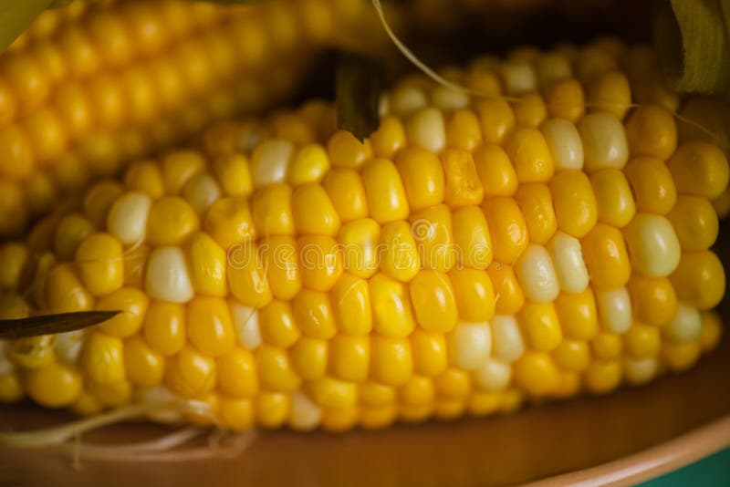 Boiled Corn - Portioned Chunks. Boiled Corn in Chunks Stock Photo ...