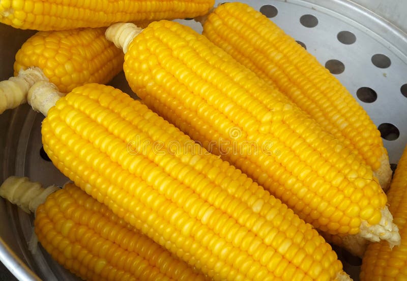 Boiled corn in pot stock photo. Image of flake, deep - 34423928