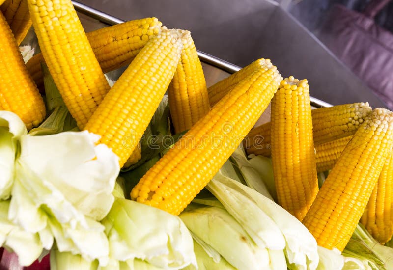 Boiled corn stock image. Image of grained, freshness - 48218753
