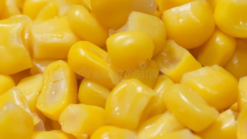 Boiled Corn Seeds. Macro a Large Number of Corn Kernels Rotate in a ...