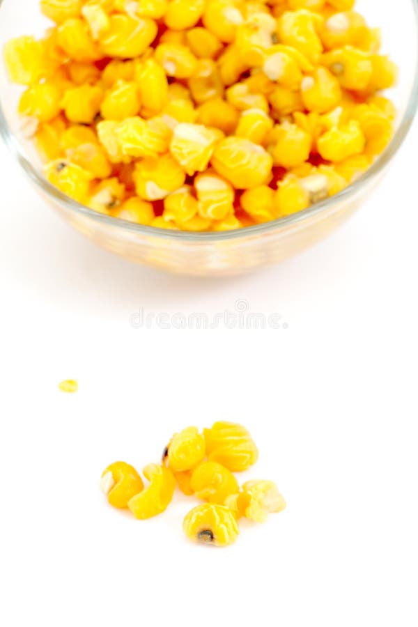 Boiled Corn Seeds on White Background Stock Image - Image of nutrition ...
