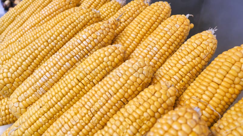 Boiled Corn on the Streets of Istanbul. Turkey. Stock Photo - Image of ...