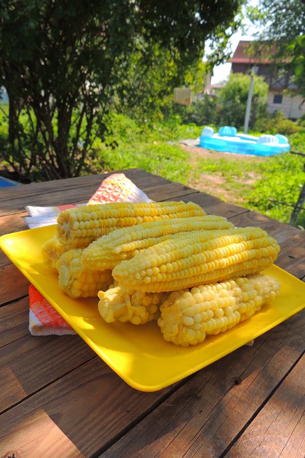 Boiled corn on the table stock photo. Image of food - 346479700