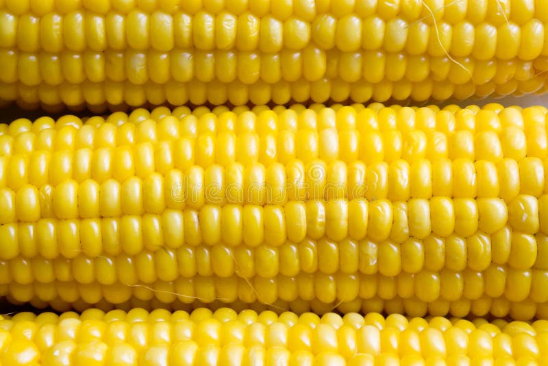 Boiled corn texture stock image. Image of fresh, texture - 97814317