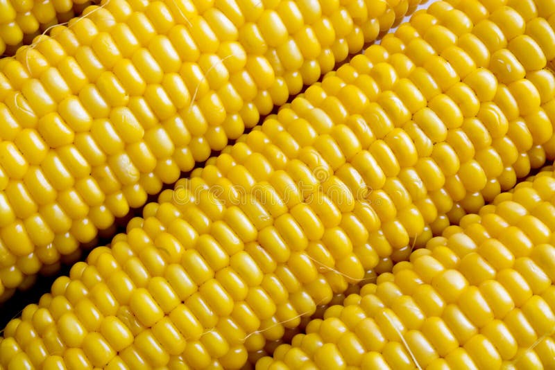 Boiled corn texture stock photo. Image of tasty, ingredient - 97814302