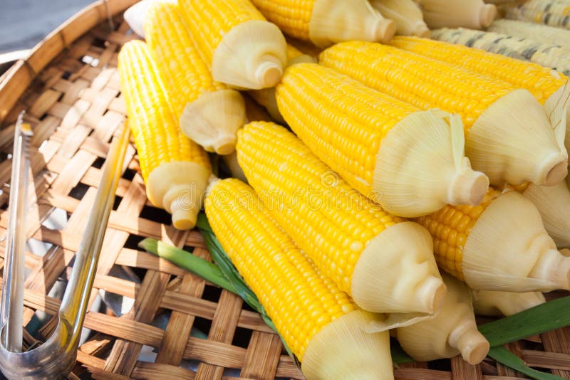 Boiled corn stock photo. Image of corn, meal, sweet, colorful - 88656098