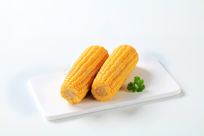 Boiled corn stock image. Image of plate, food, vegetarian - 60831409