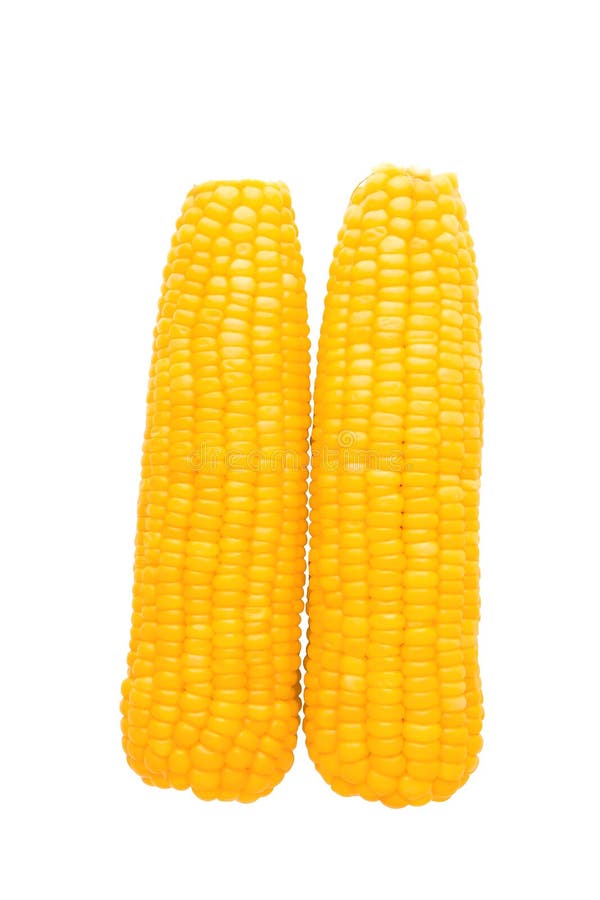 Boiled Corn stock image. Image of fruit, color, healthy - 39139243