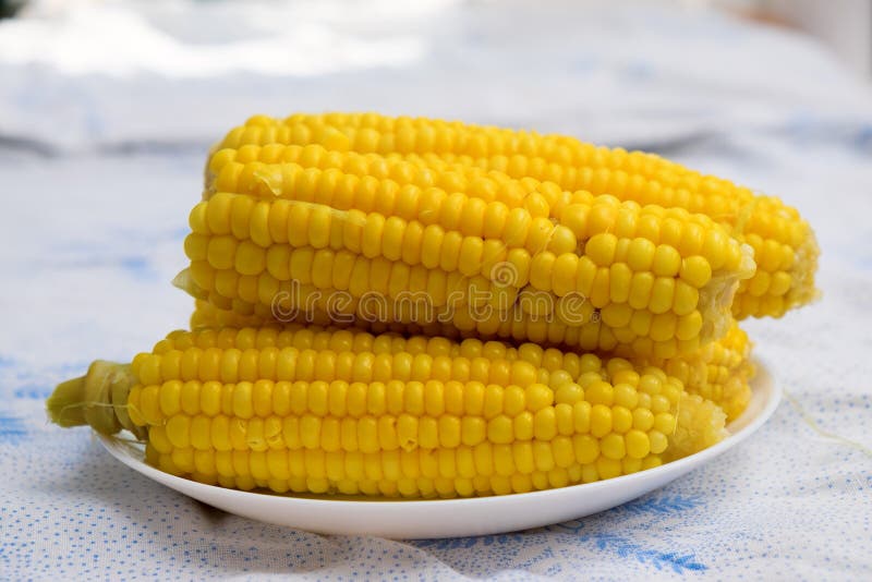 Boiled Corn on a White Plate in the Kitchen Stock Photo - Image of ...
