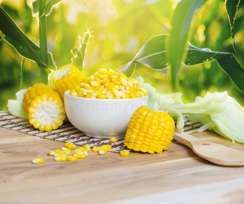 Boiled corn on wood table stock photo. Image of flour - 92809084