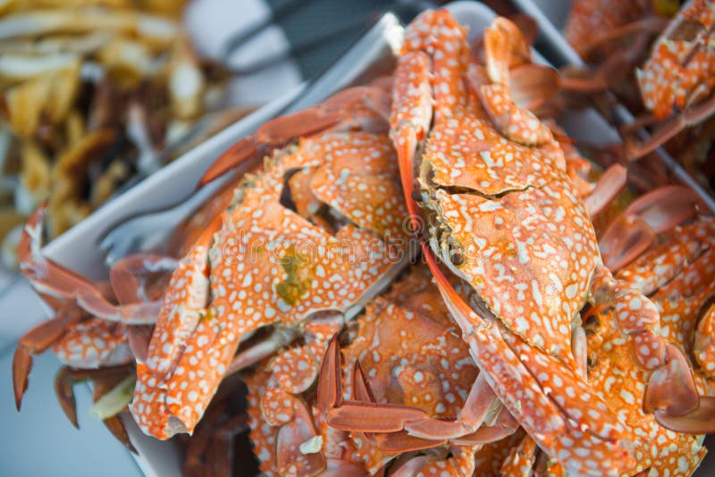 Boiled crab in plate stock photo. Image of cooking, fresh - 97066082
