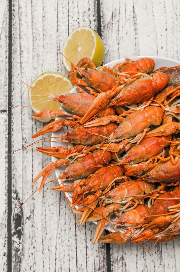 Boiled Crawfish stock image. Image of swamp, cooked, crawdads - 45595909