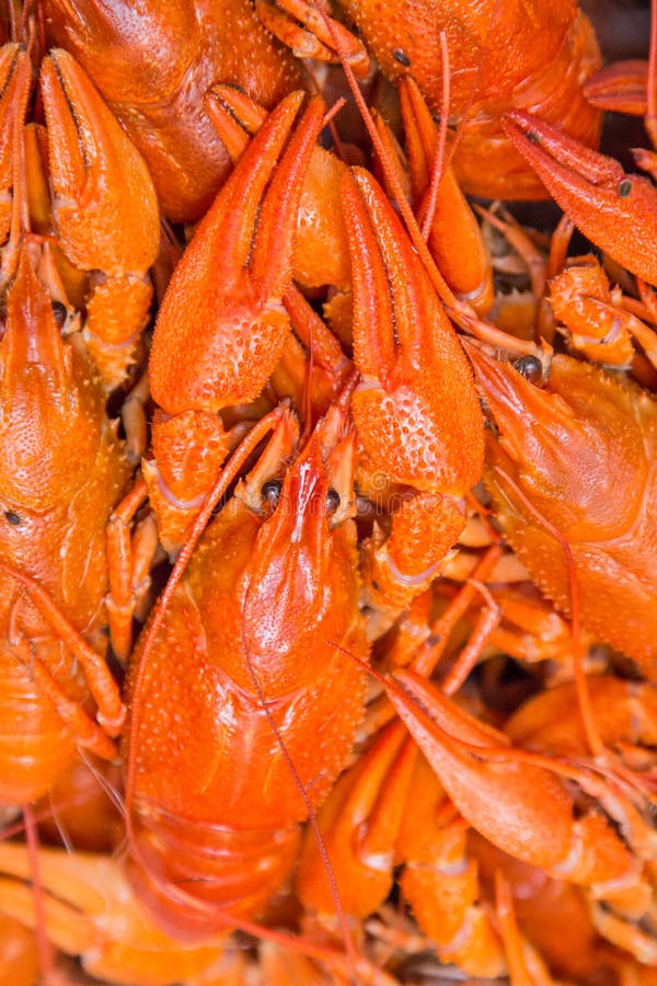 Boiled crawfish stock image. Image of river, orange, eating - 38668863