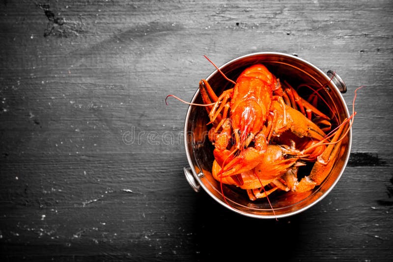 Boiled Crawfish in a Metal Bucket. Stock Image - Image of diet ...