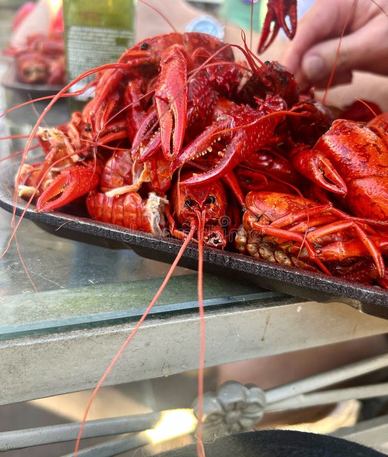 Boiled Crawfish Pile on Outdoor Glass Table Stock Photo - Image of ...