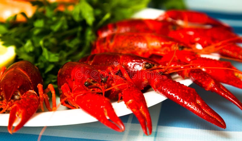 Boiled Crawfish on Plate Close Up Stock Photo - Image of omega ...