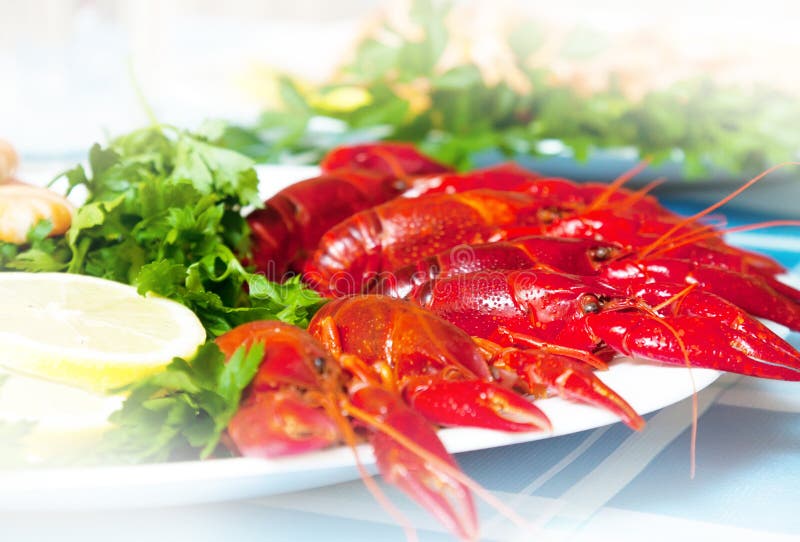 Boiled Crawfish on Plate Close Up Stock Photo - Image of celery, crab ...