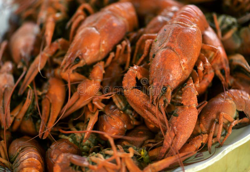 Boiled Crayfish Close-up, Delicious Food, Diet Food. Stock Photo ...