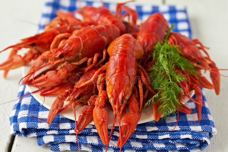 Boiled crayfish stock photo. Image of lobster, claw, snack - 35374356