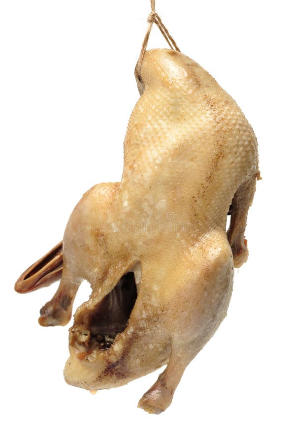 Boiled duck stock image. Image of dinner, gourmet, bird - 101860477