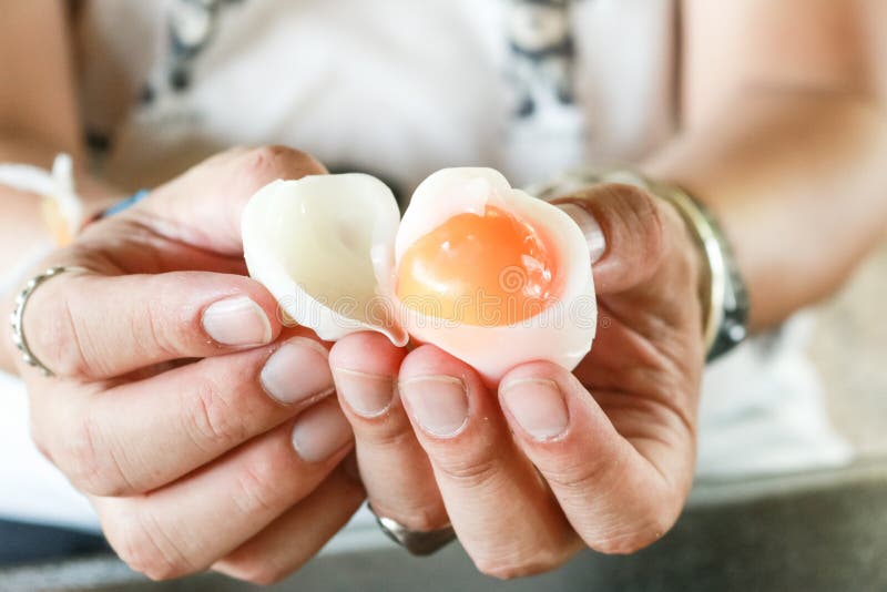 Boiled Egg in hands. stock photo. Image of cooked, hands - 72061018