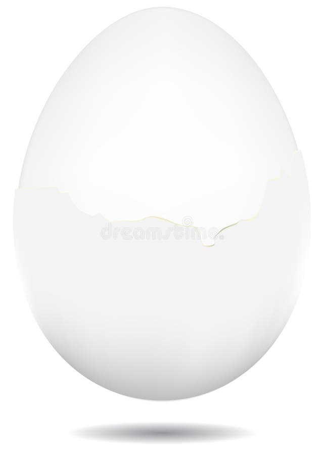 Boiled Egg In A White Shell Stock Vector - Illustration of background ...