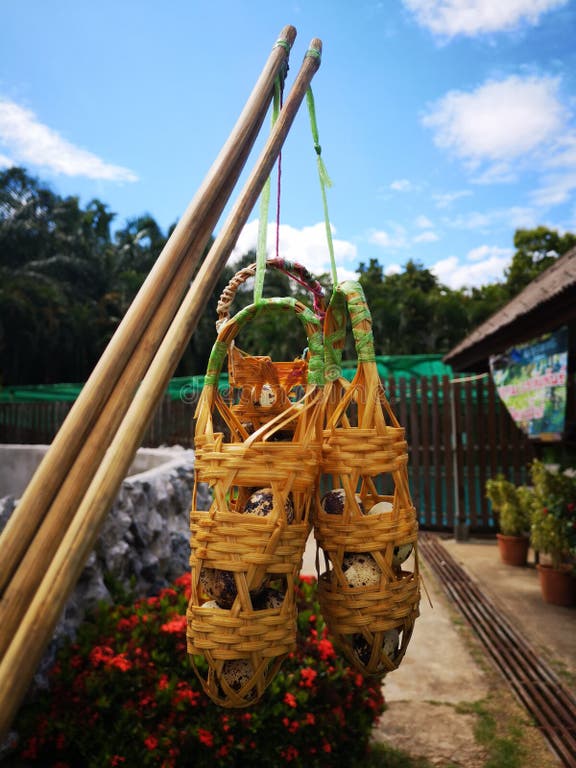 Boiled eggs. stock photo. Image of hotspring, spring - 162547044