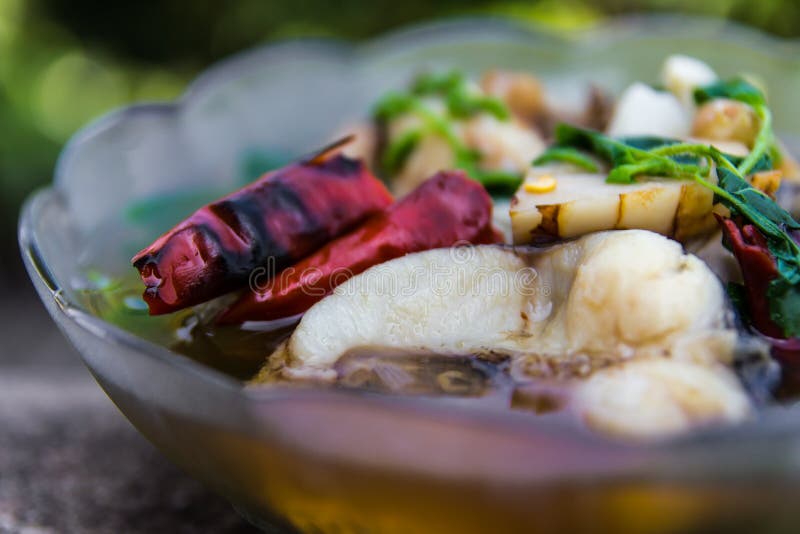 Boiled fish stock photo. Image of meal, food, asia, boiled - 49848582