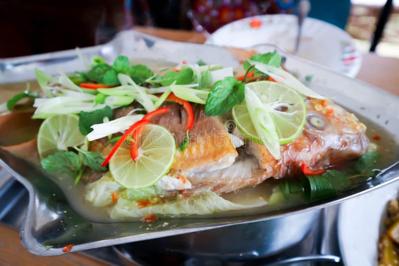 Boiled Fish or Steamed Fish Stock Image - Image of herb, thai: 178206963