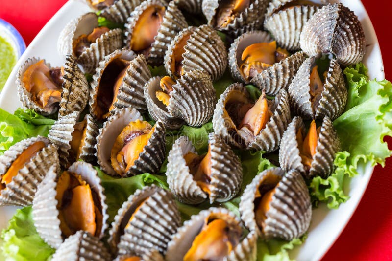 Boiled fresh cockles stock image. Image of gourmet, eating - 64403135