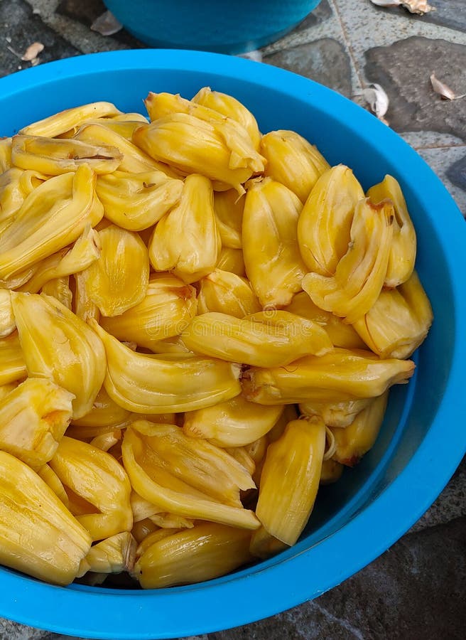Boiled fresh jackfruit stock photo. Image of snack, vegetable - 250964548