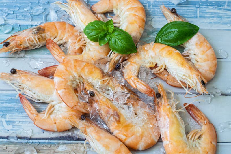Boiled fresh prawns stock image. Image of shellfish - 192586557