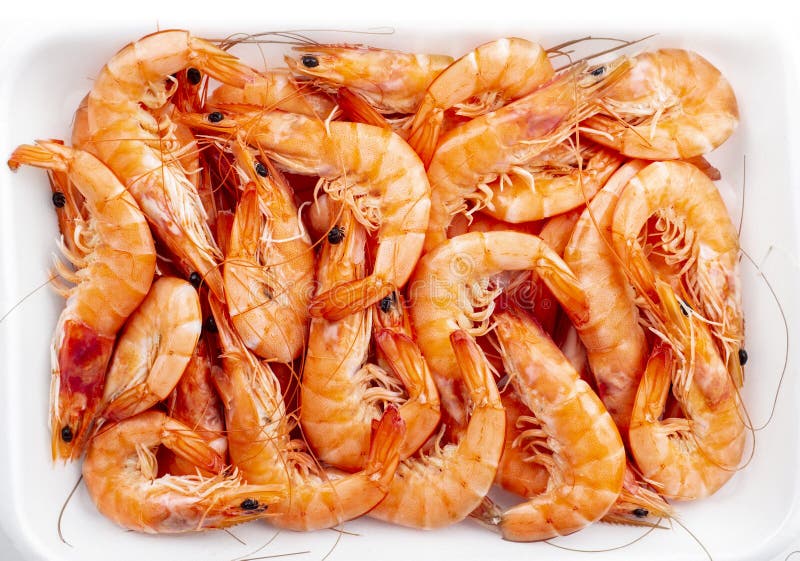 Boiled Fresh Prawns on White Background Stock Image - Image of lemon ...
