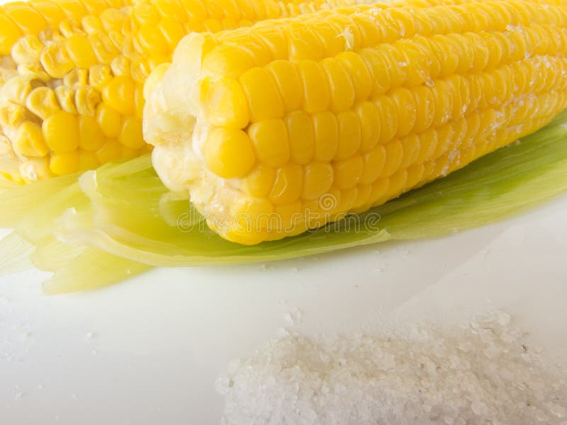 Boiled Fresh Ripe Corn with Salt Stock Photo - Image of fresh ...