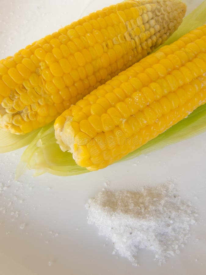 Boiled Fresh Ripe Corn with Salt Stock Image - Image of sweetcorn ...