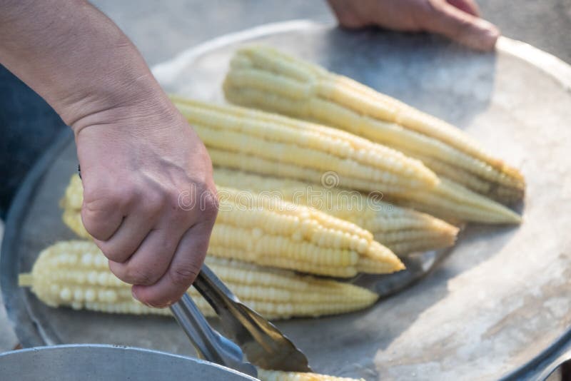 Boiled Fresh White Corn at Street Food Stock Photo - Image of delicious ...