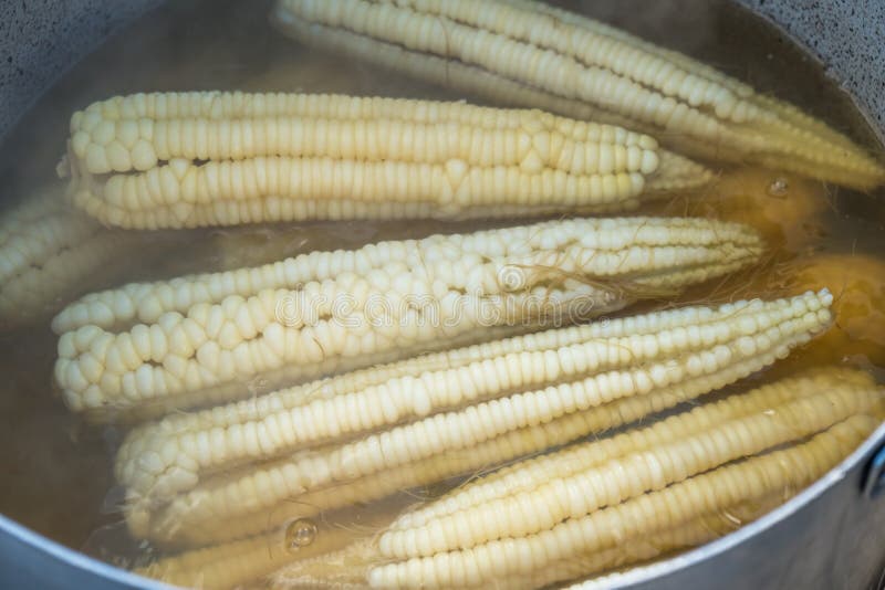 Boiled Fresh White Corn at Street Food Stock Image - Image of natural ...