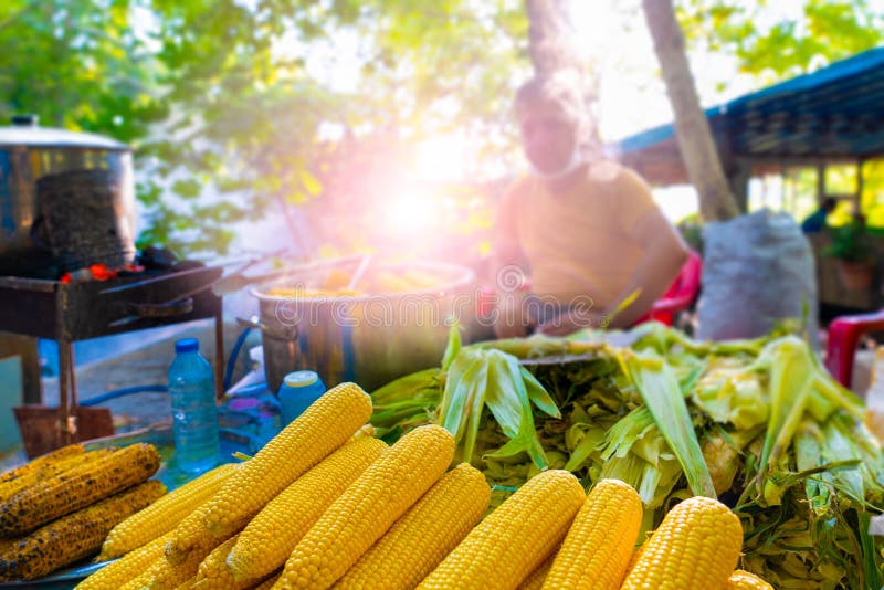 Corn vendor stock image. Image of close, steamer, fresh - 57848349