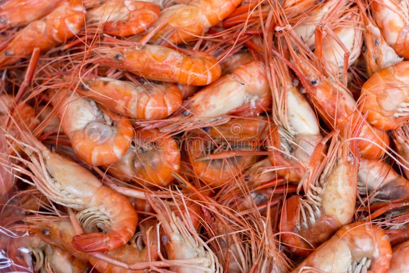Boiled Giant Freshwater Prawn, Seafood Stock Photo - Image of cook ...