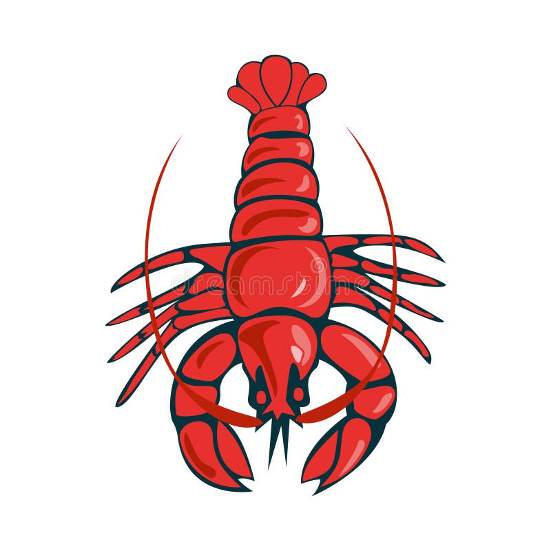 Yabby Stock Illustrations – 59 Yabby Stock Illustrations, Vectors ...