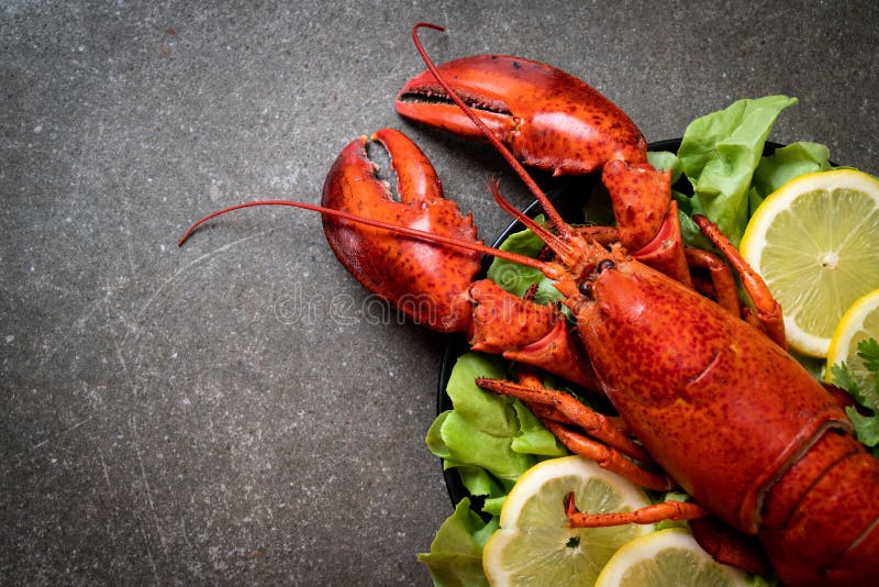 Boiled Lobster with Vegetable and Lemon Stock Photo - Image of large ...
