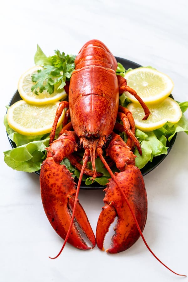 Boiled Lobster With Vegetable And Lemon Stock Image - Image of lettuce ...