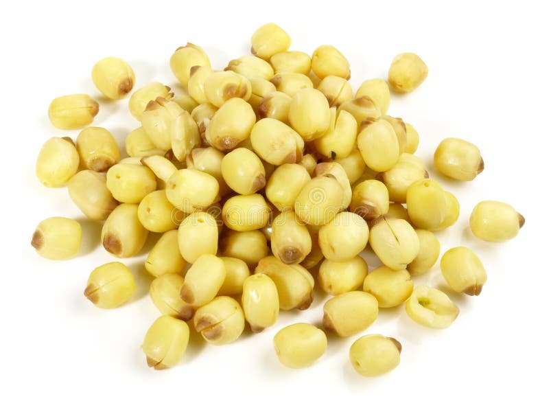 Boiled Lotus Seeds on White Background - Isolated Stock Photo - Image ...