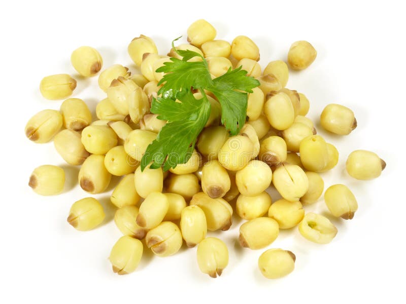 Boiled Lotus Seeds on White Background - Isolated Stock Photo - Image ...