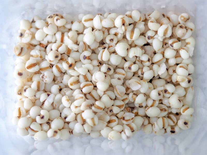 Boiled millet in a box stock photo. Image of energy - 185772794