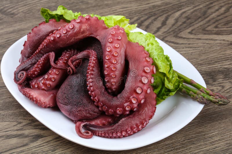 Boiled octopus stock image. Image of seafood, octopus - 111734547